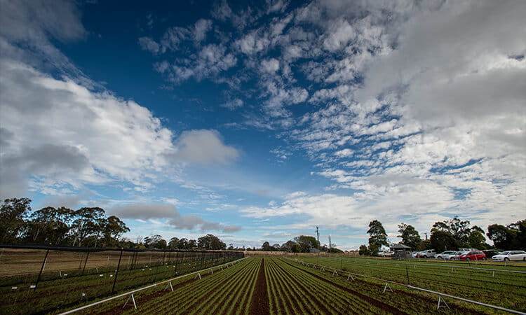 New School reflects research excellence in Agriculture - University of ...